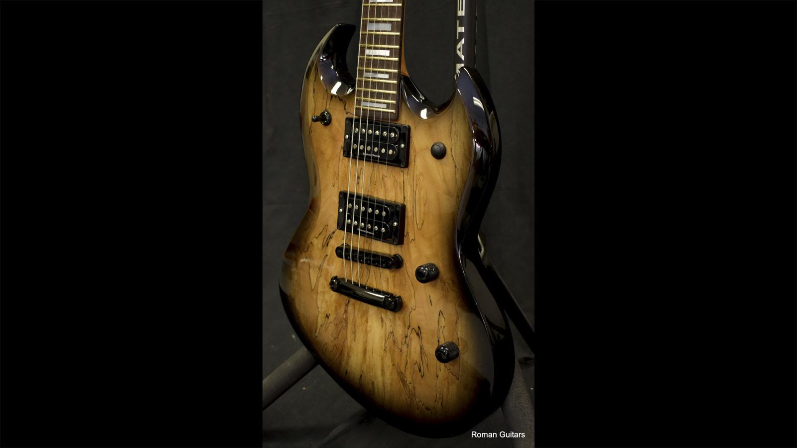 Ed Roman Guitars